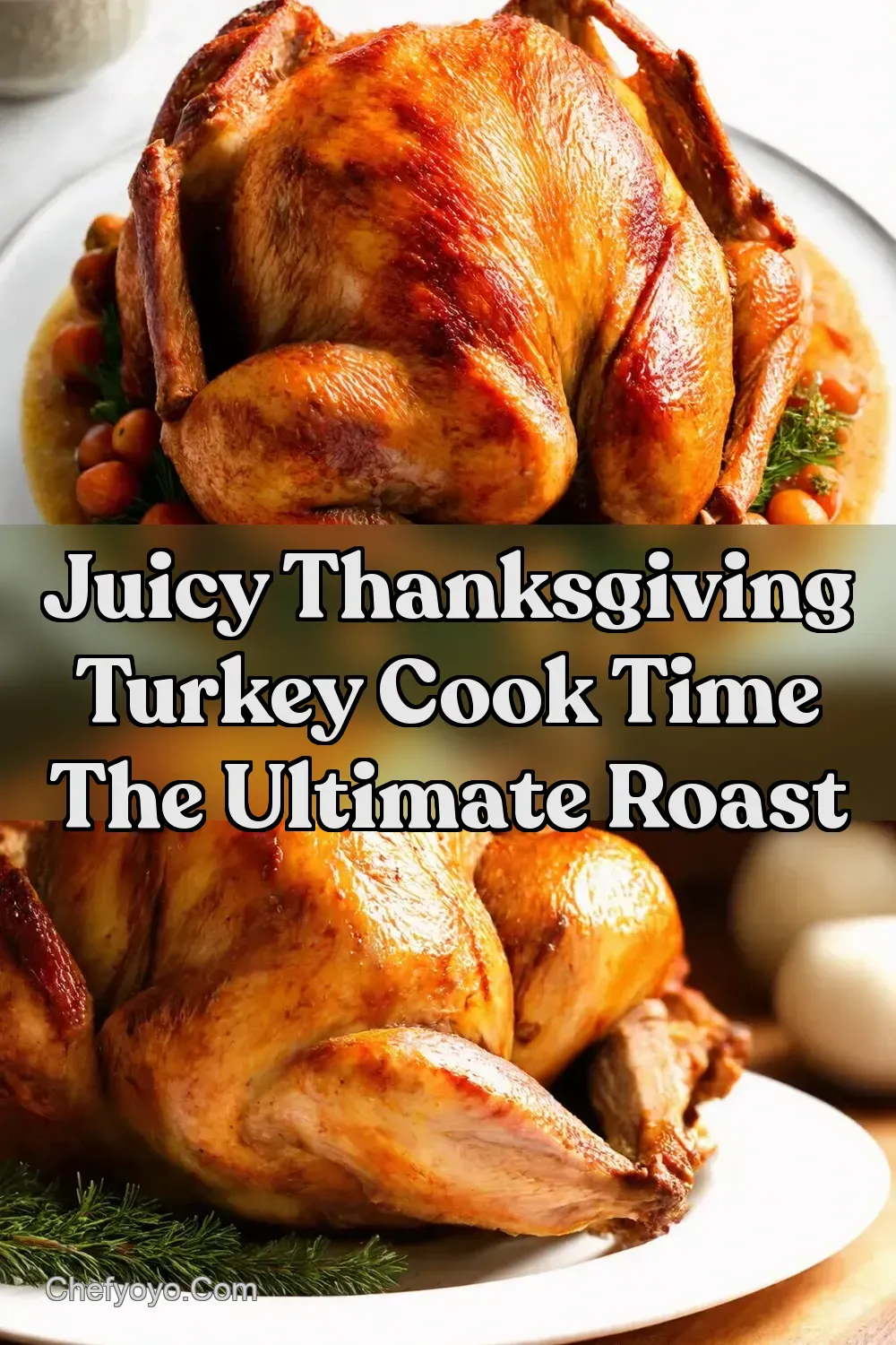 Perfect Turkey Cook Time My Juicy Roast Turkey Recipe