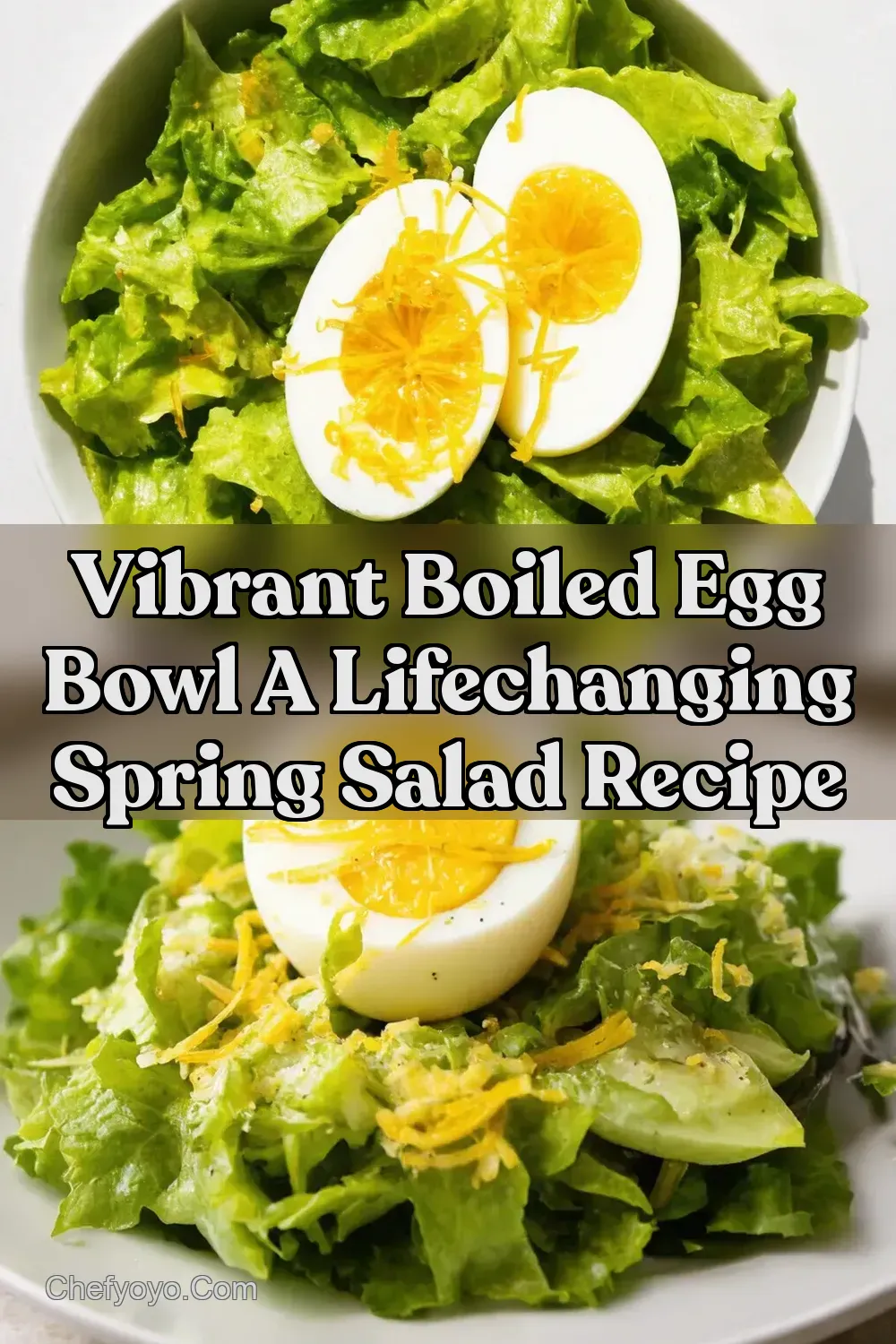 Boiled Egg Recipes Spring Salad with HoneyLemon Zest